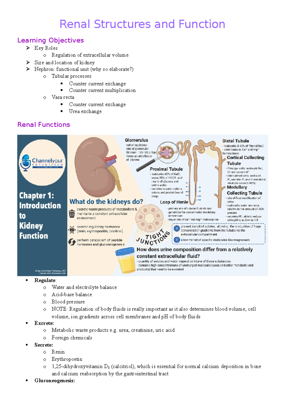 Renal Structures and Function - Renal Structures and Function Learning Objectives Key Roles o ...