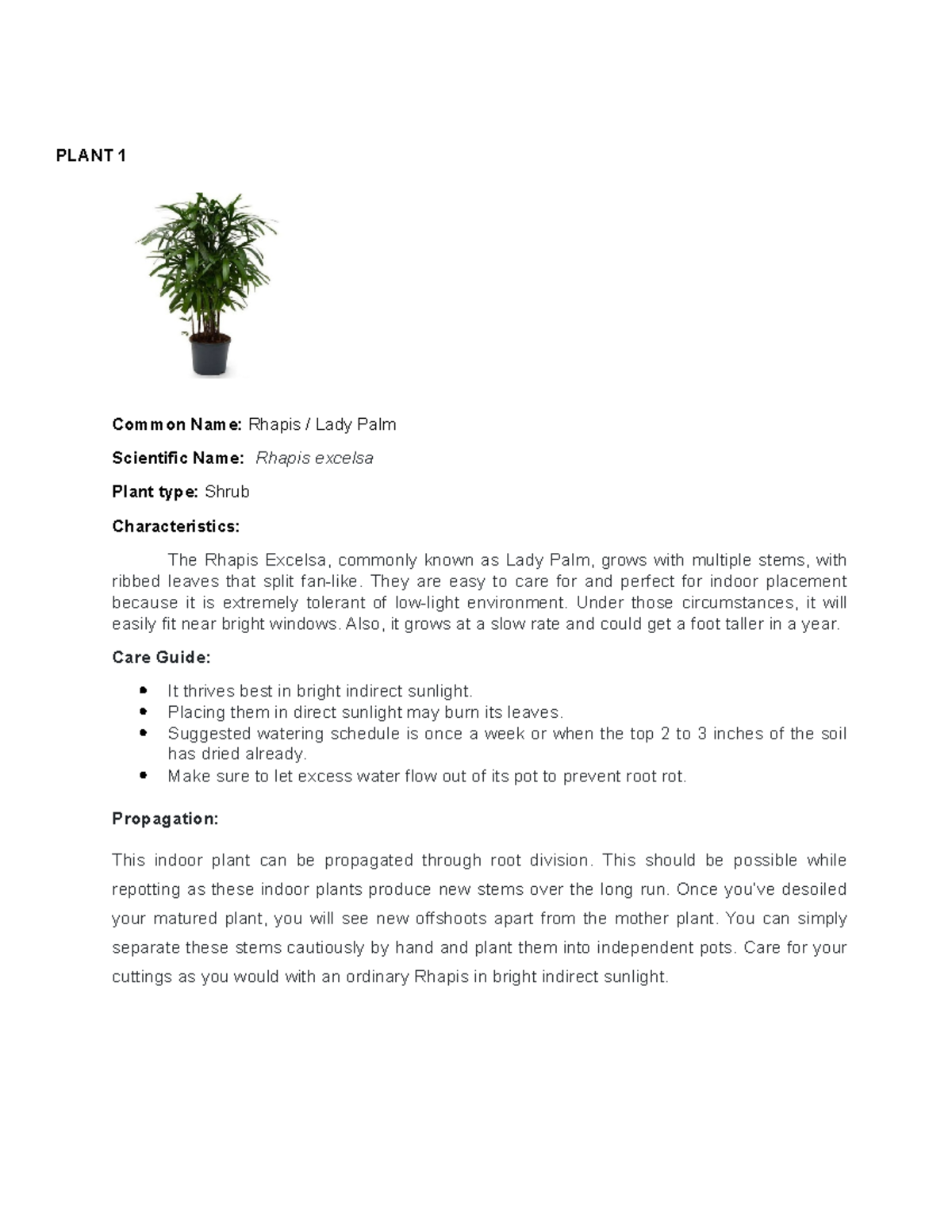 Planning 1 - Landscape Architecture - PLANT 1 Common Name: Rhapis ...