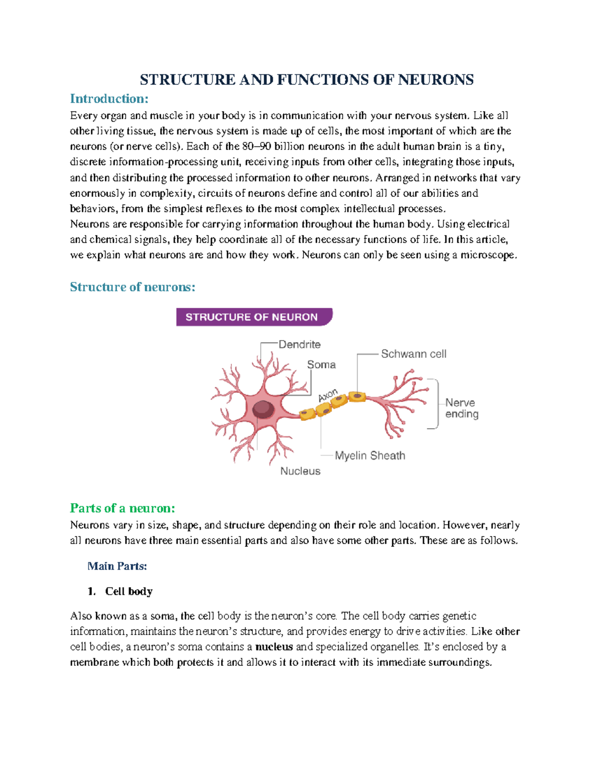 Structure AND Functions OF Neurons STRUCTURE AND FUNCTIONS OF NEURONS