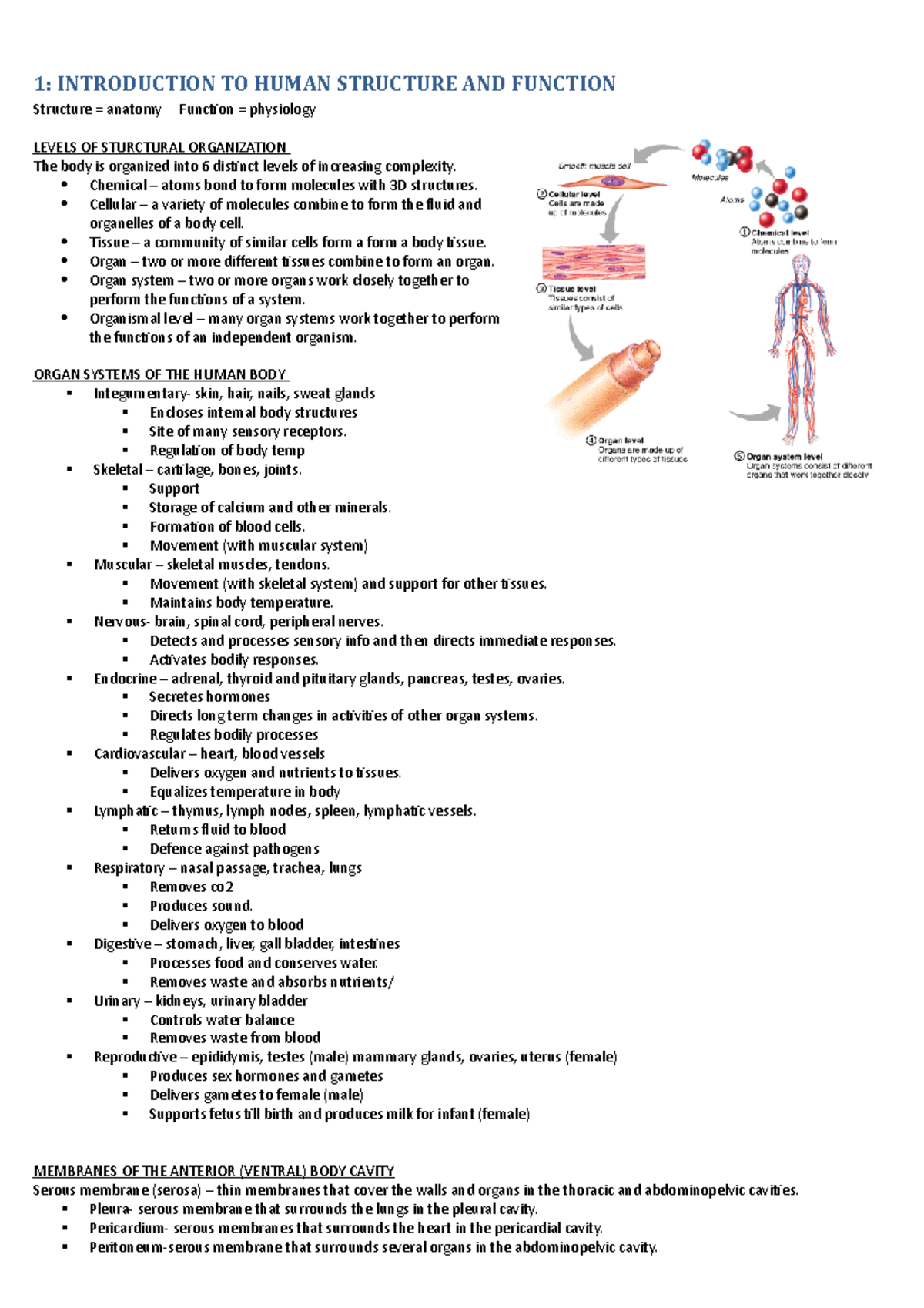 Lecture Notes All Lectures 1 Introduction To Human Structure And Function Structure