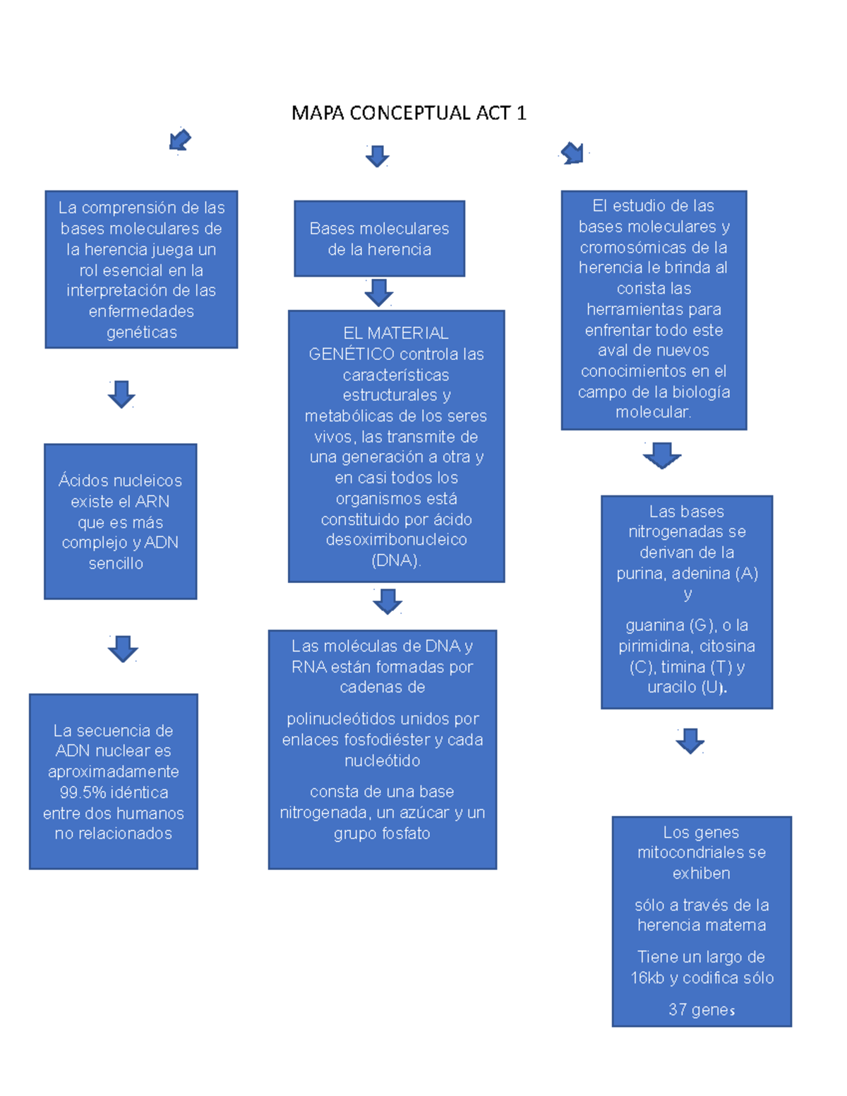MAPA Conceptual ACT 1 Embriologia - MAPA CONCEPTUAL ACT 1 Los genes mitocondriales se exhiben ...