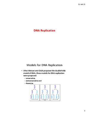 Molecullar Biology - Protein Synthesis AND GENE Regulation OF Protein ...