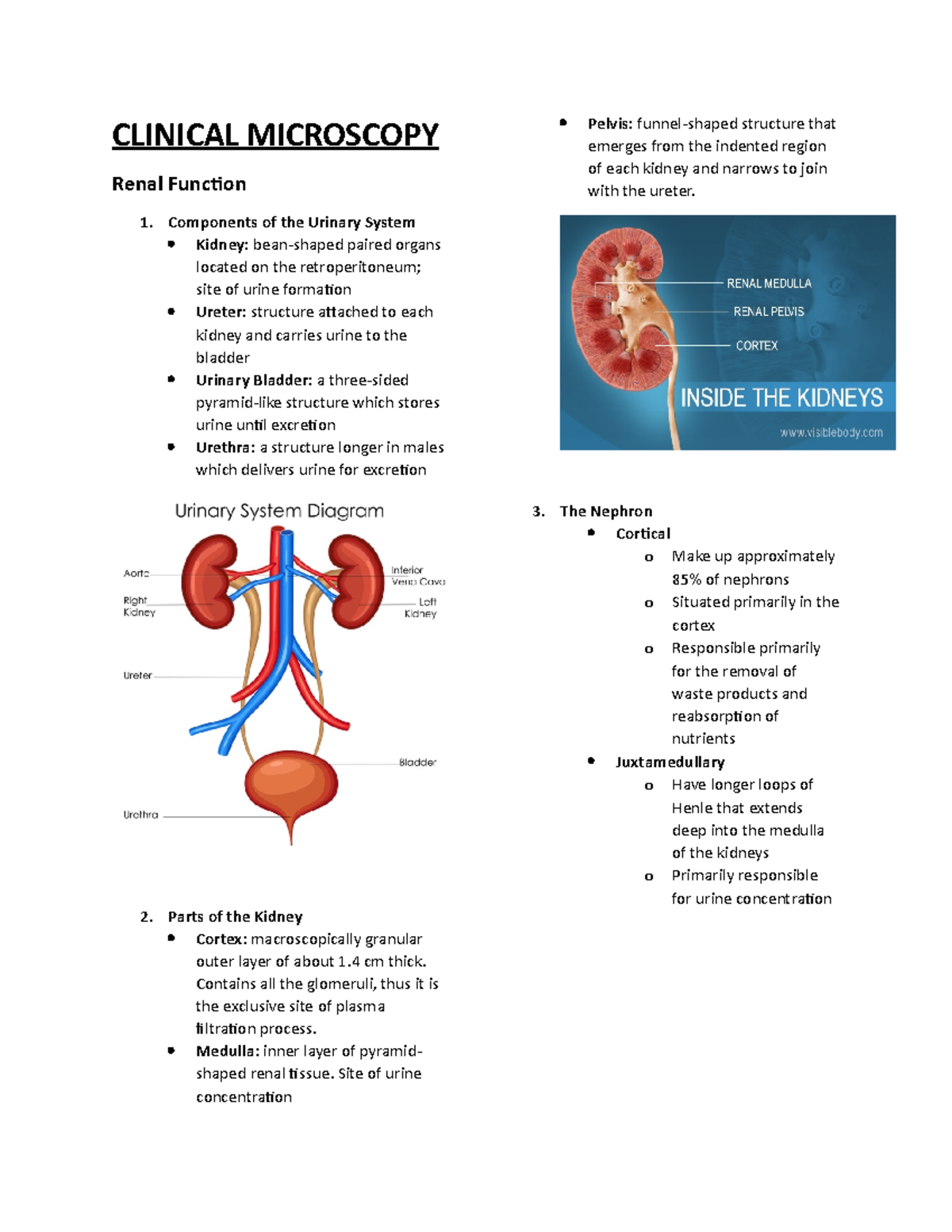 Clinical Microscopy - Notes - CLINICAL MICROSCOPY Renal Function ...