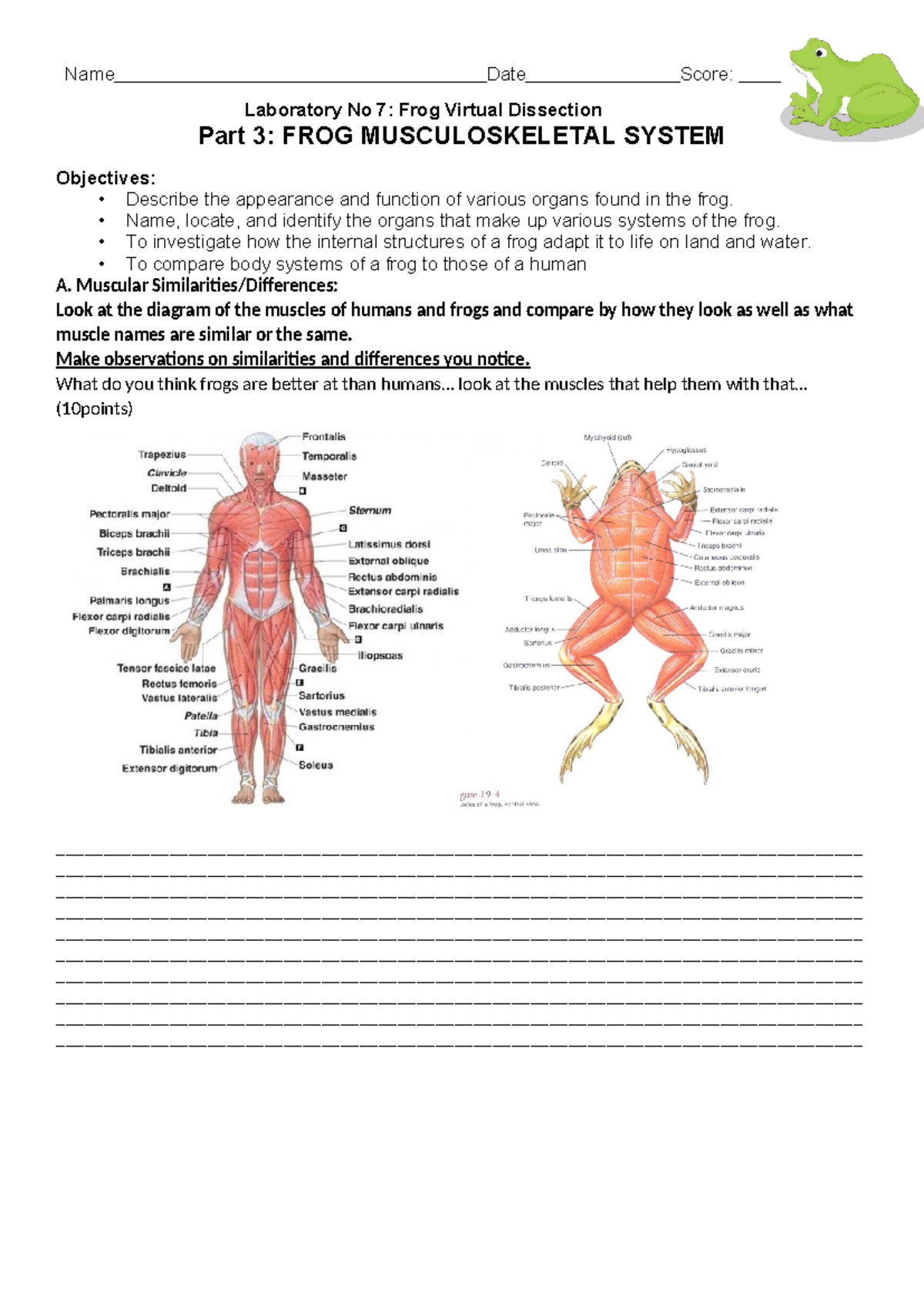 Laboratory No. 7 Part 3 - Name Date Score: Laboratory No 7: Frog ...