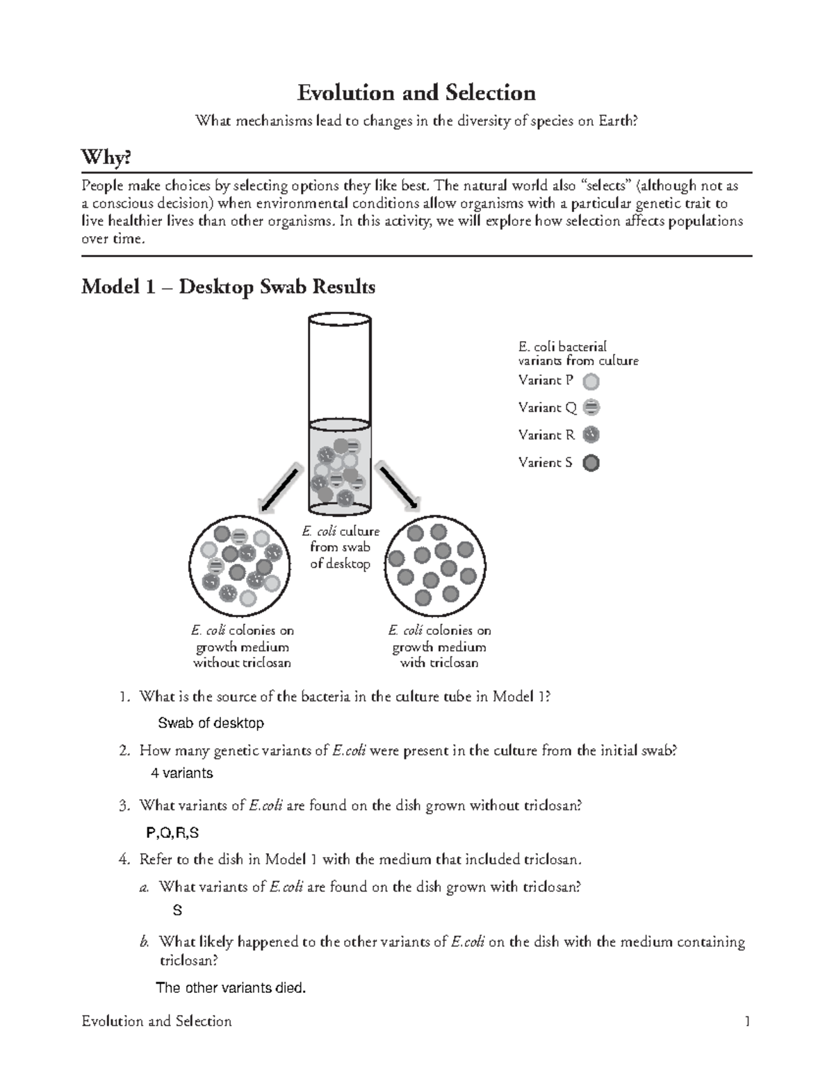 21 Evolution and Selection-S - The natural world also “selects ...