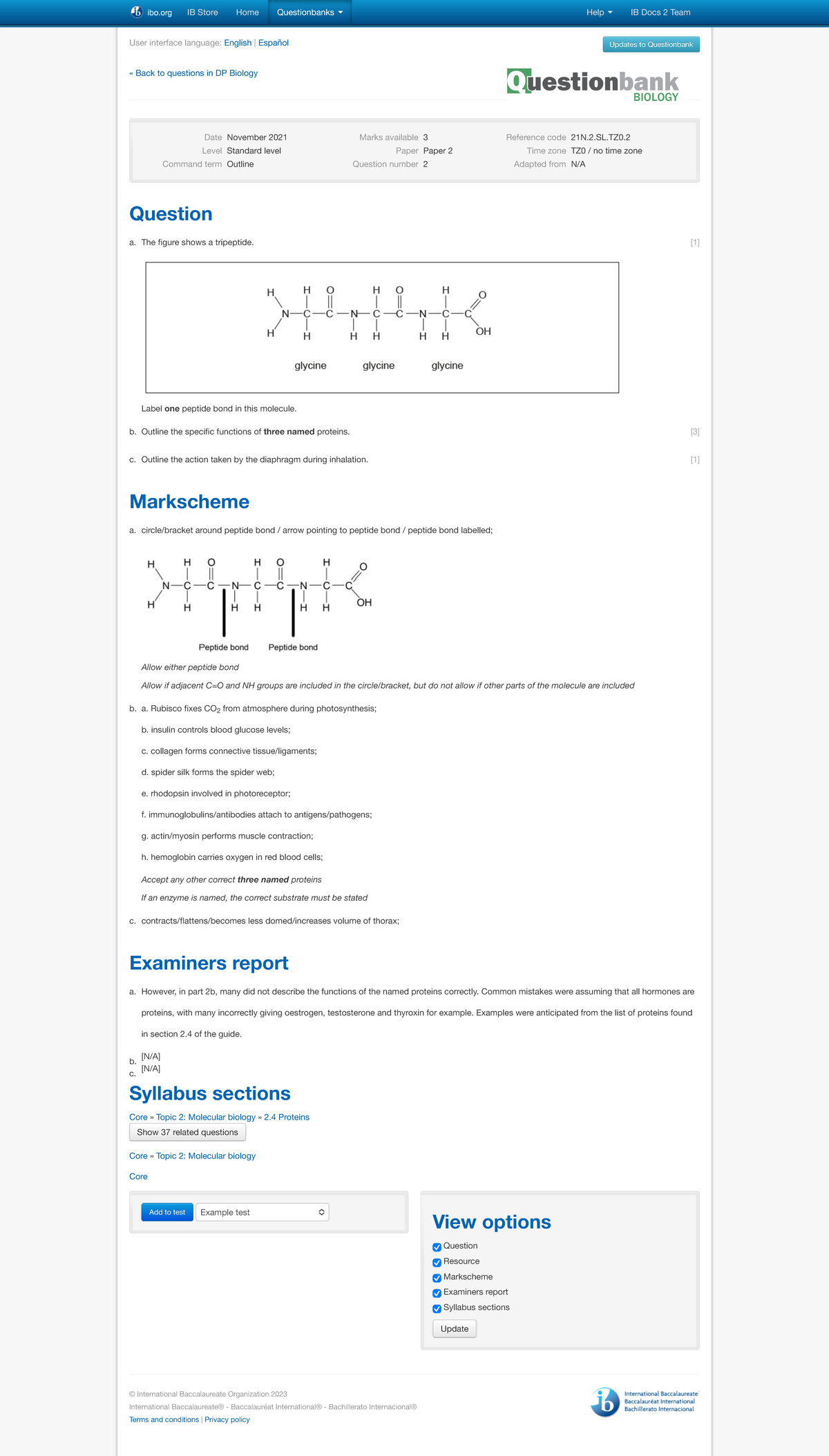 IB Questionbank 22 - User interface language: English | Español Updates ...