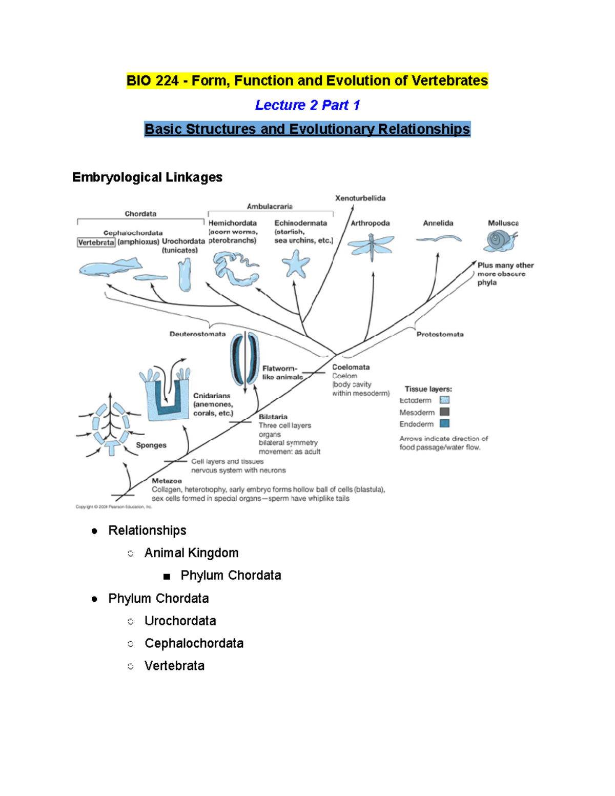 BIO 224 Lecture 2 Part 1 - Winter 2019 - BIO 224 - Form, Function and ...