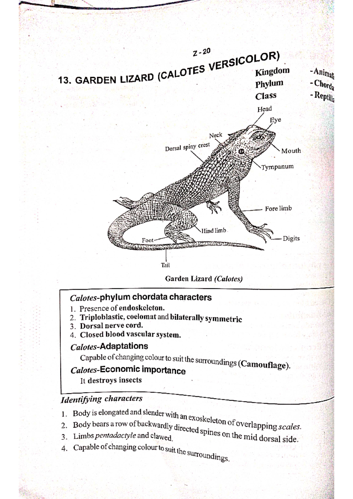 Zoology pdf 4 - Class notes - science - Studocu
