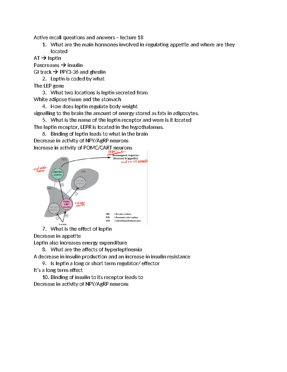 Active recall questions and answers – lecture 18 - Active recall ...