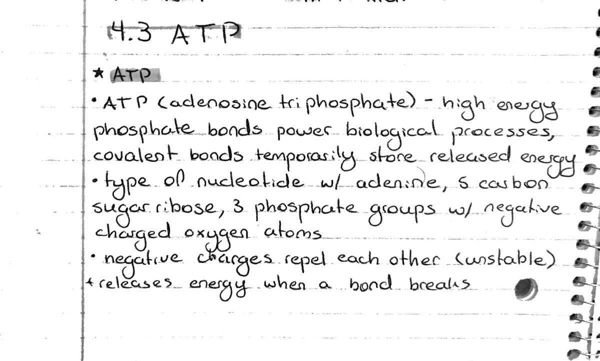 McGraw-Hill Connect Chapter 4.3 - BIO 1320 - Studocu