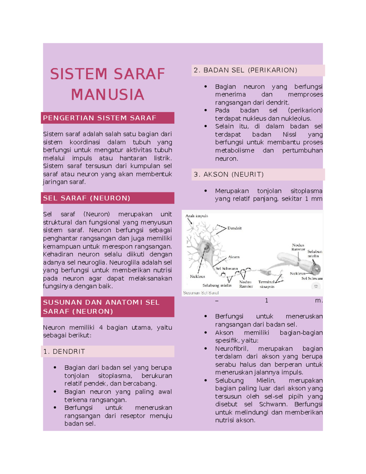 Sistem Saraf Manusia - Biology school notes - SISTEM SARAF MANUSIA ...
