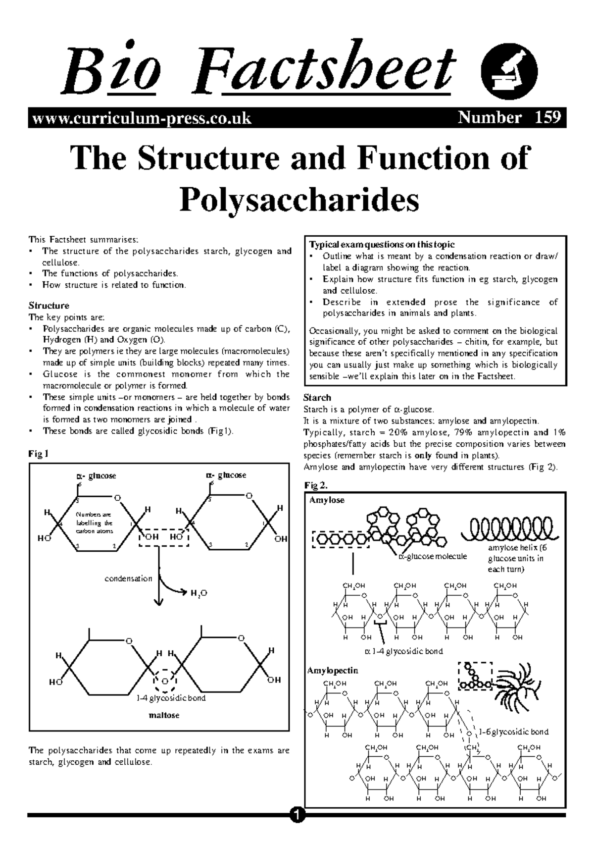 159 polysaccarides - Bio Factsheet curriculum-press.co Number 159 The ...