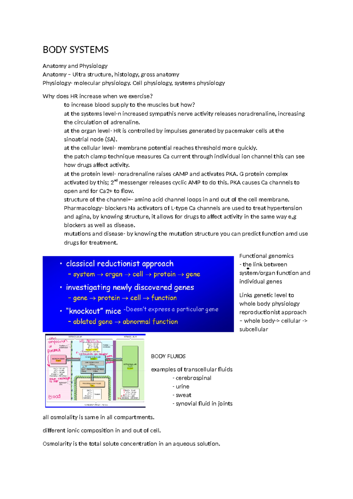 Body systems - BODY SYSTEMS Anatomy and Physiology Anatomy – Ultra ...