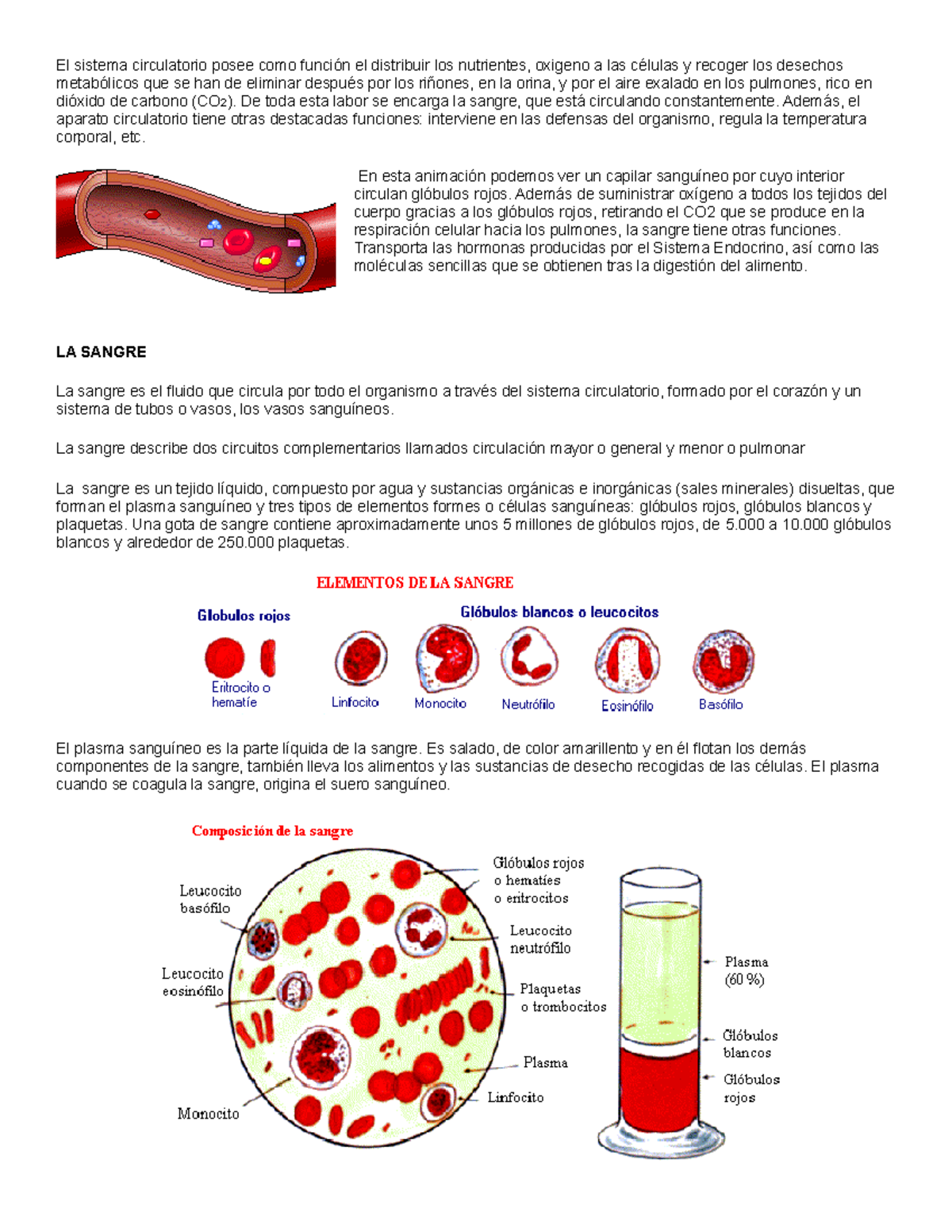 El sistema circulatorio - De toda esta labor se encarga la sangre, que ...