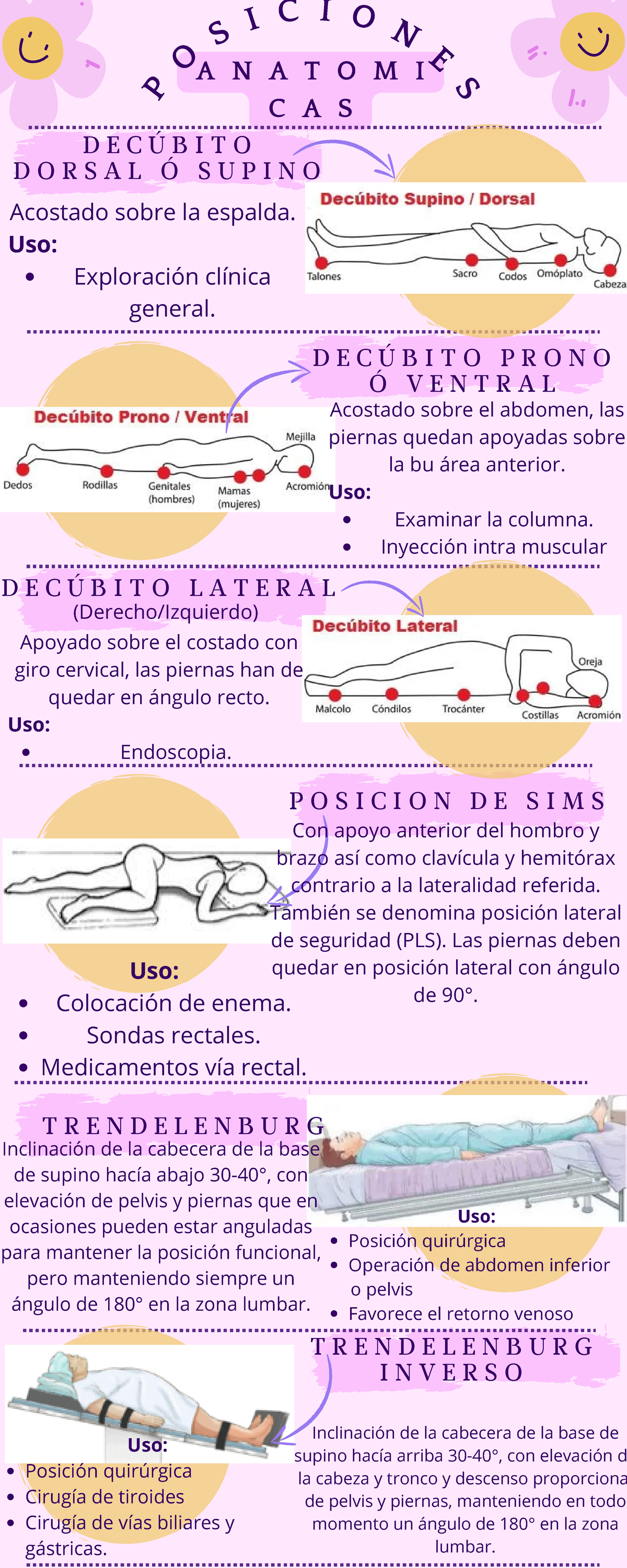Infografia de posiciónes anatomicas, - A N A T O M I C A S P O S I C I ...