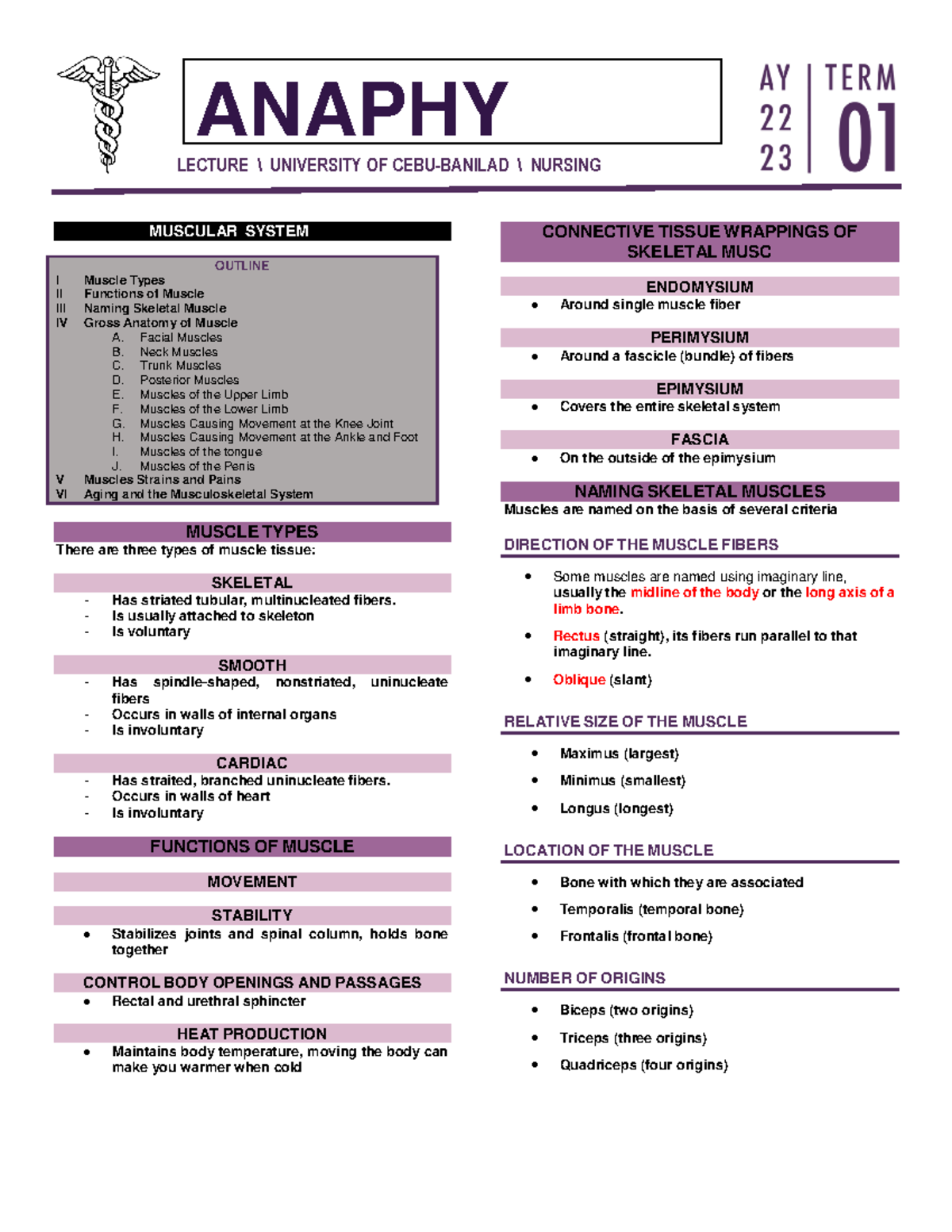 Muscular - lecture notes - MUSCULAR SYSTEM TITLE ####### OUTLINE ...