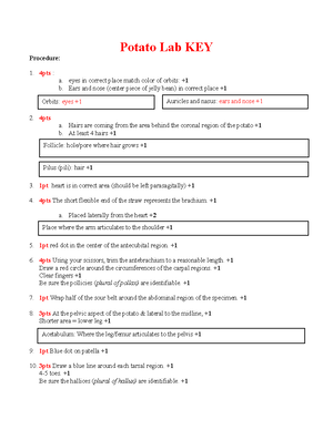 Potato Directional Terms Lab - Lab Technician Name ...