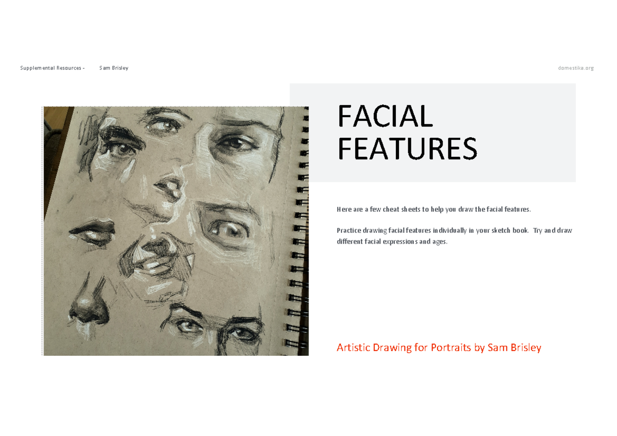 Facial Features Cheat Sheet - FACIAL FEATURES Here are a few cheat ...