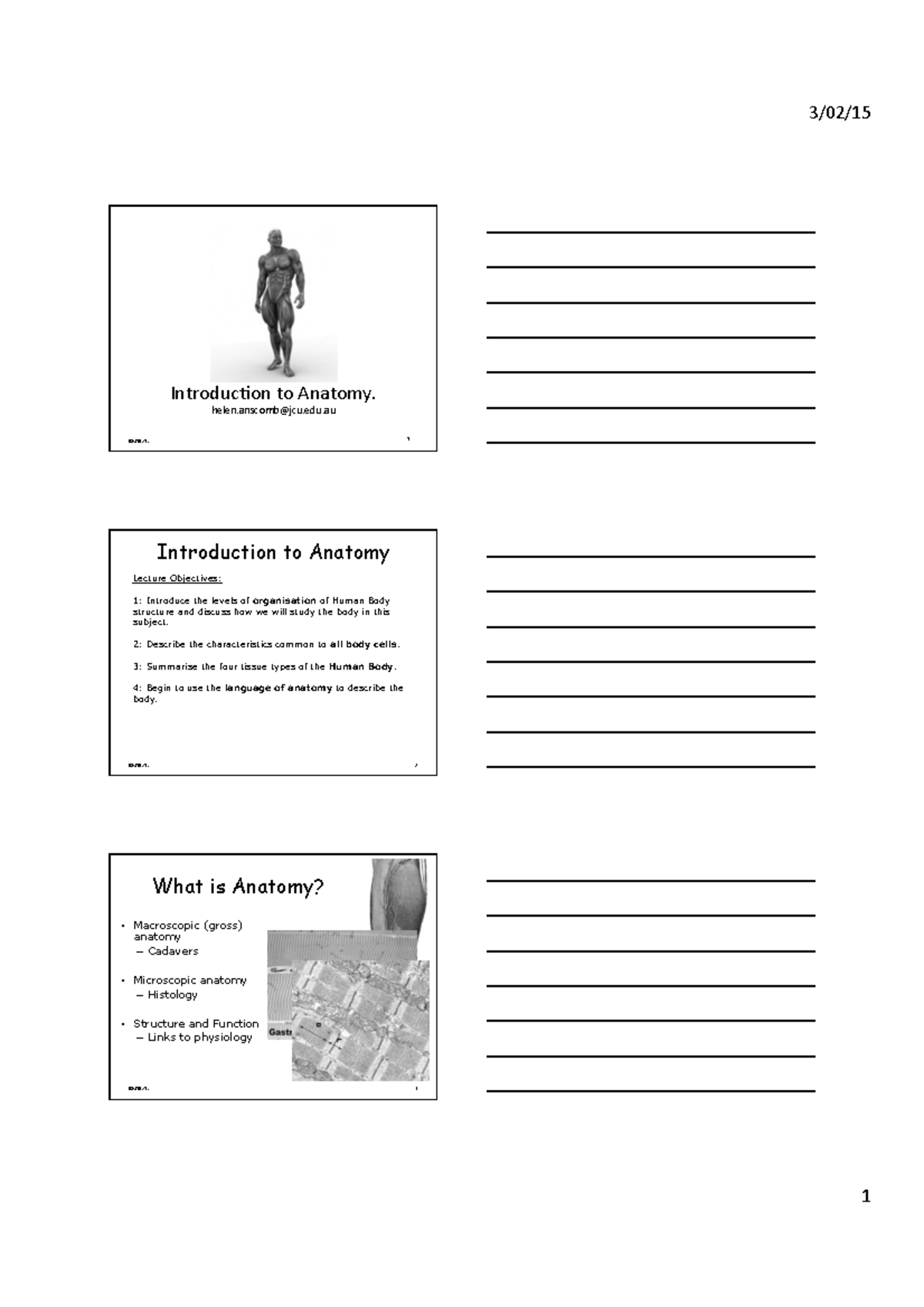 Bm10X1 Introduction To Anatomy Slides - ####### 1 Introduc0on to ...