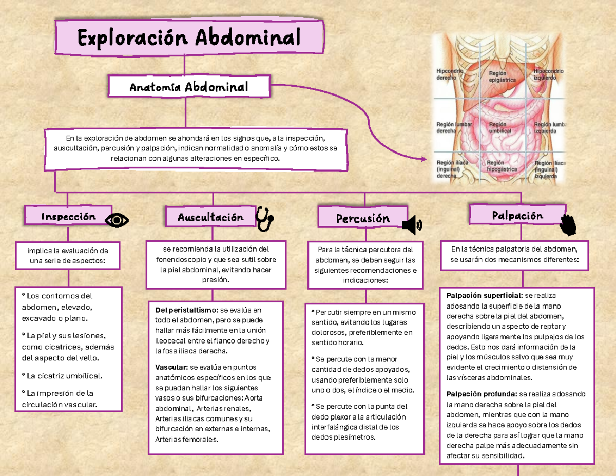Exploracion Abdominal Semiologia - En la exploración de abdomen se ...