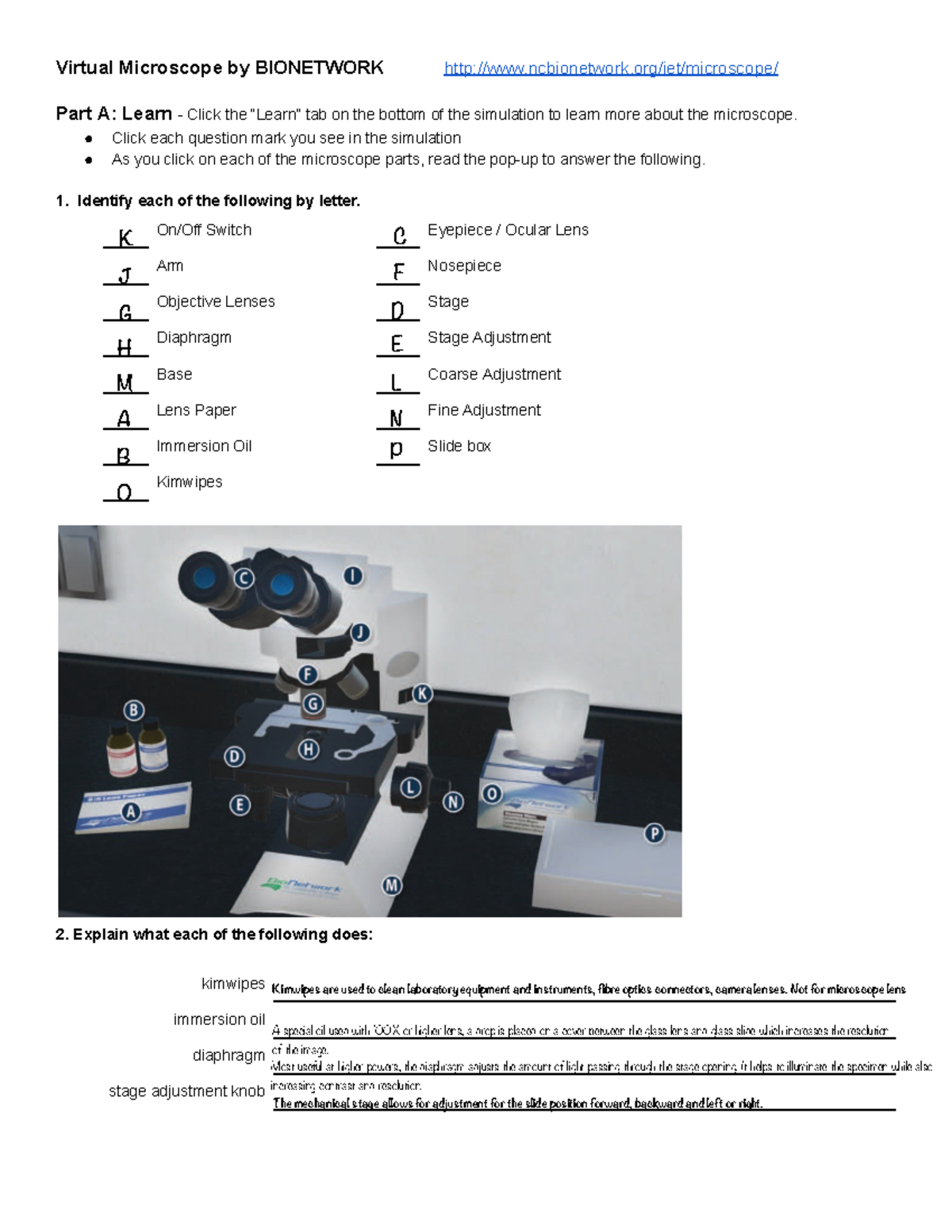 02 Virtual Microscope activity (Virtual Microscope By BIONETWORK ...