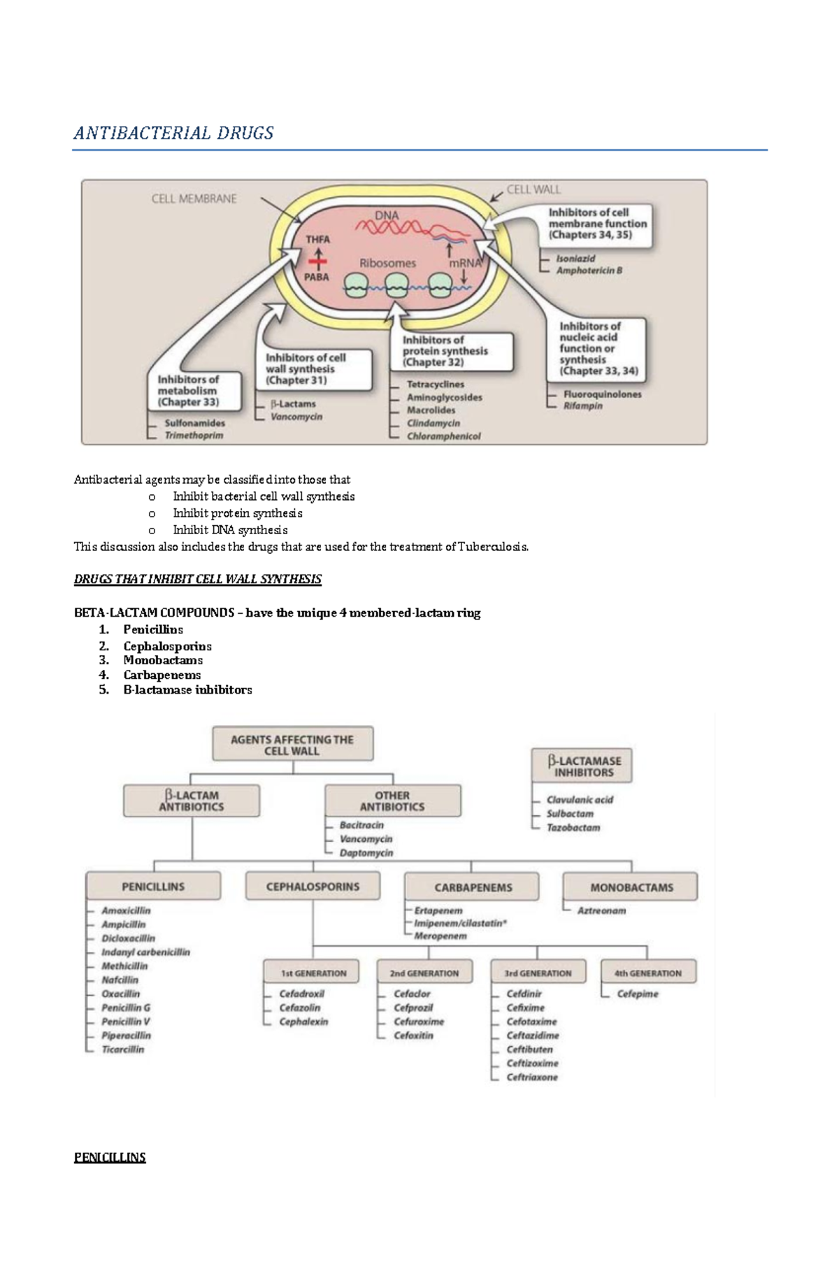 Antibacterial Drugs - notes - ANTIBACTERIAL DRUGS Antibacterial agents ...