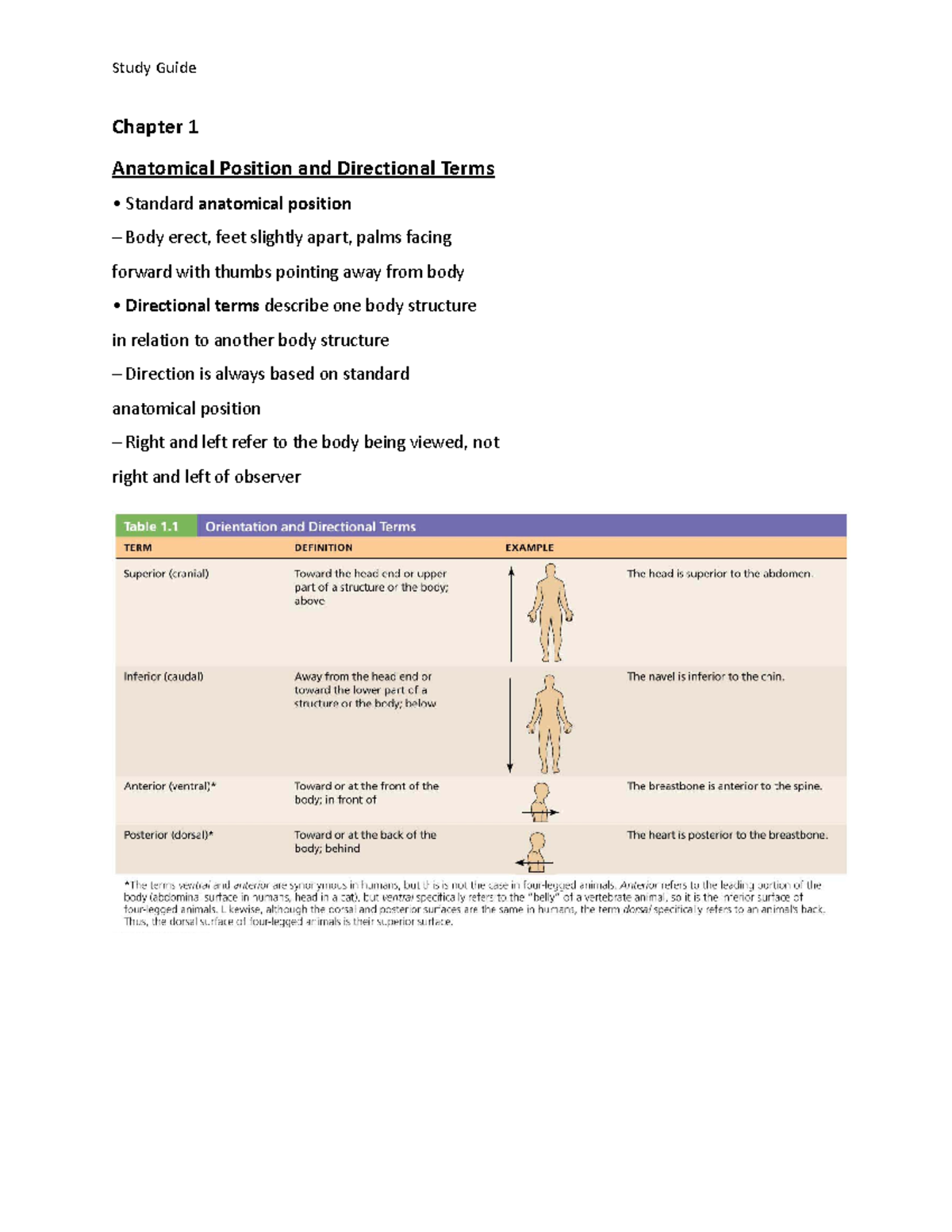 Study guide - Goes over Chapters 1,2,4,8 - Chapter 1 Anatomical ...