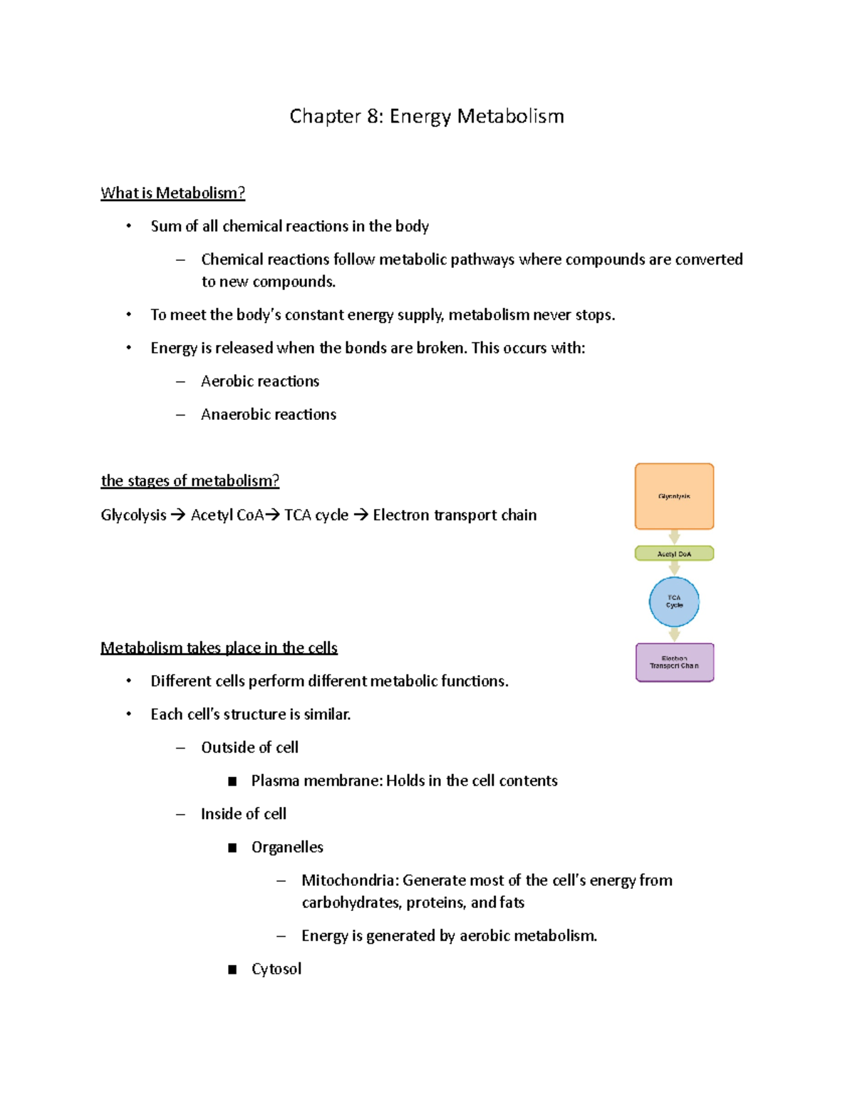 Quia Ap Chapter 8 An Introduction To Metabolism Detailed The Diagram ...