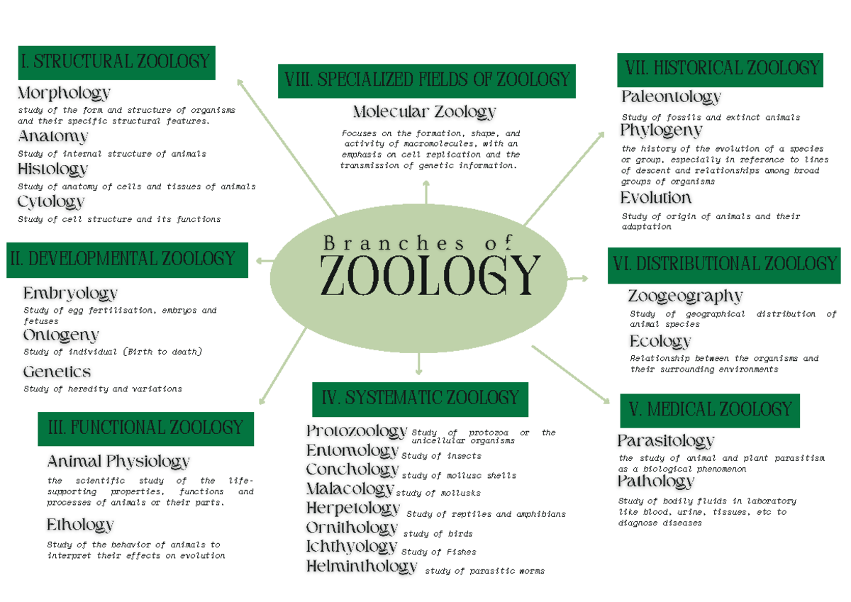 Branches of zoology - I. Structural Zoology II. Developmental Zoology ...