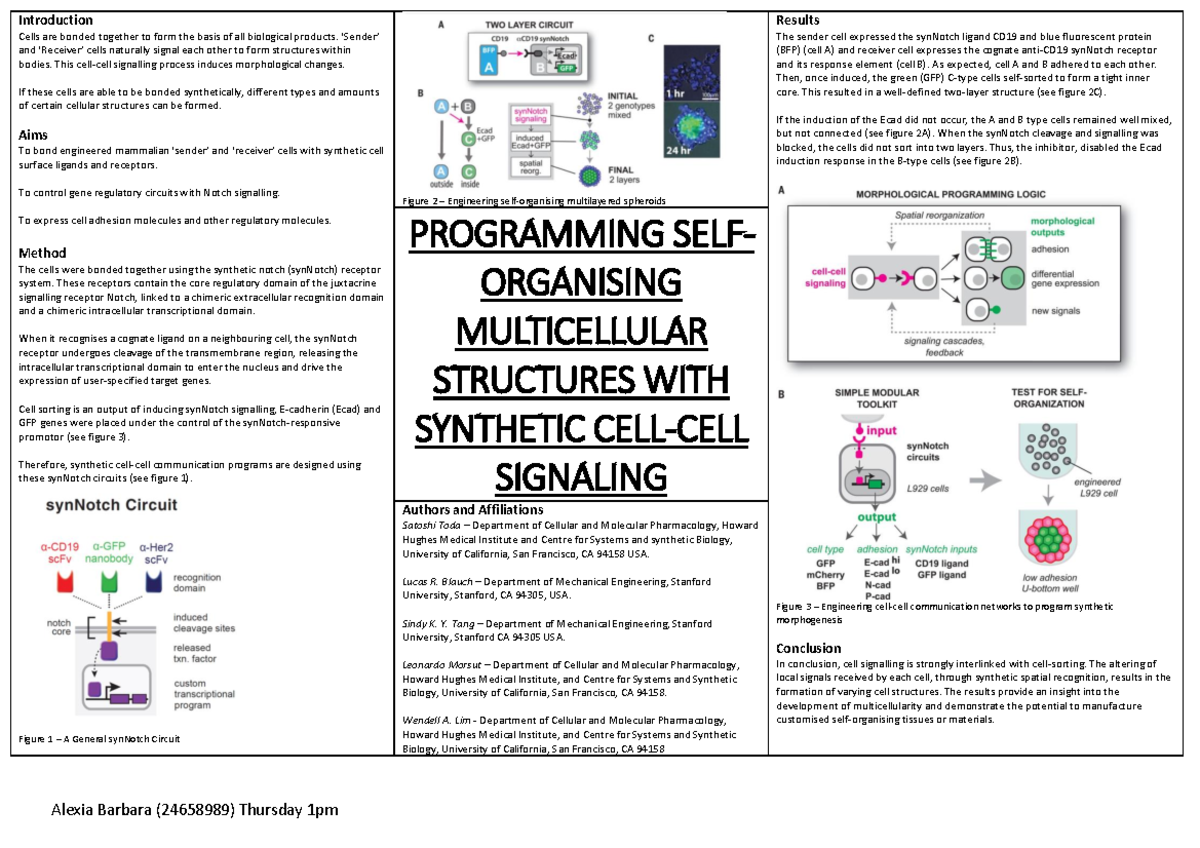 CBG poster - Alexia Barbara (24658989) Thursday 1pm Introduction Cells ...