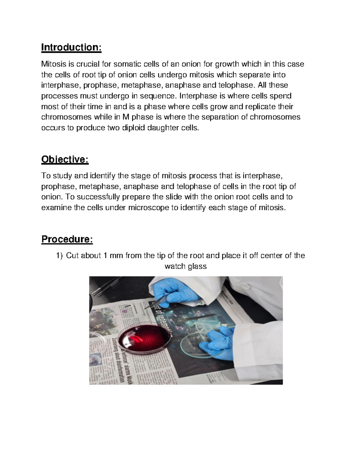 Biology lab assesment - Hope to help u - Introduction: Mitosis is ...