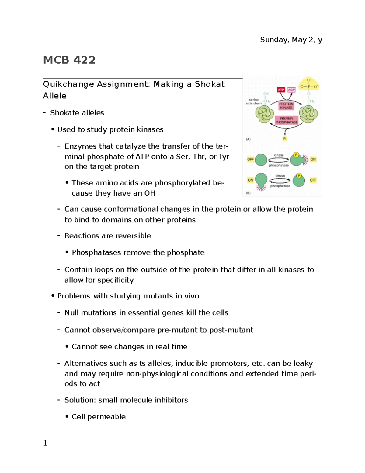 Lecture 13 - Quikchange Assignment- Making a Shokat Allele - Wednesday ...