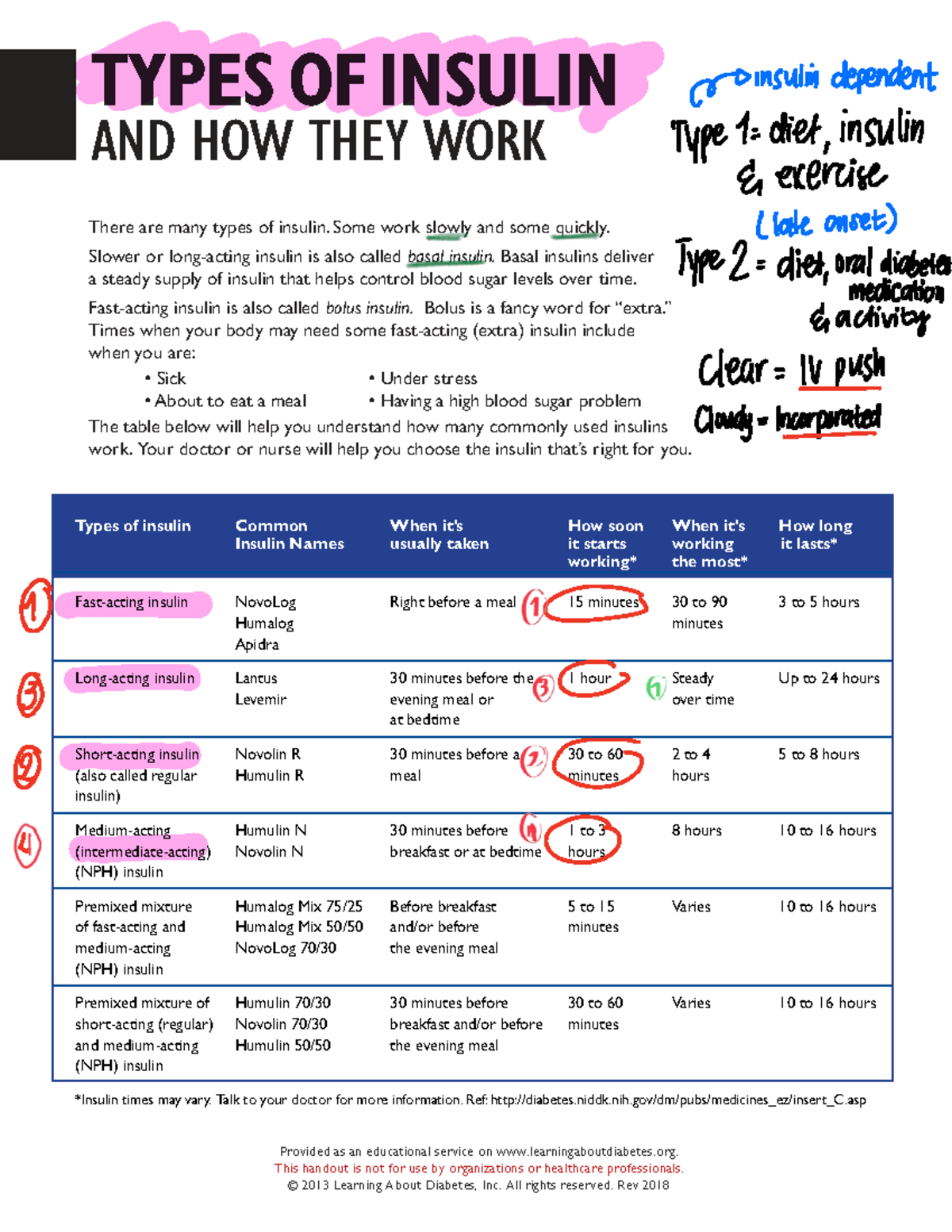 Types of Insulin Edited - Types of insulin Common When it’s How soon ...