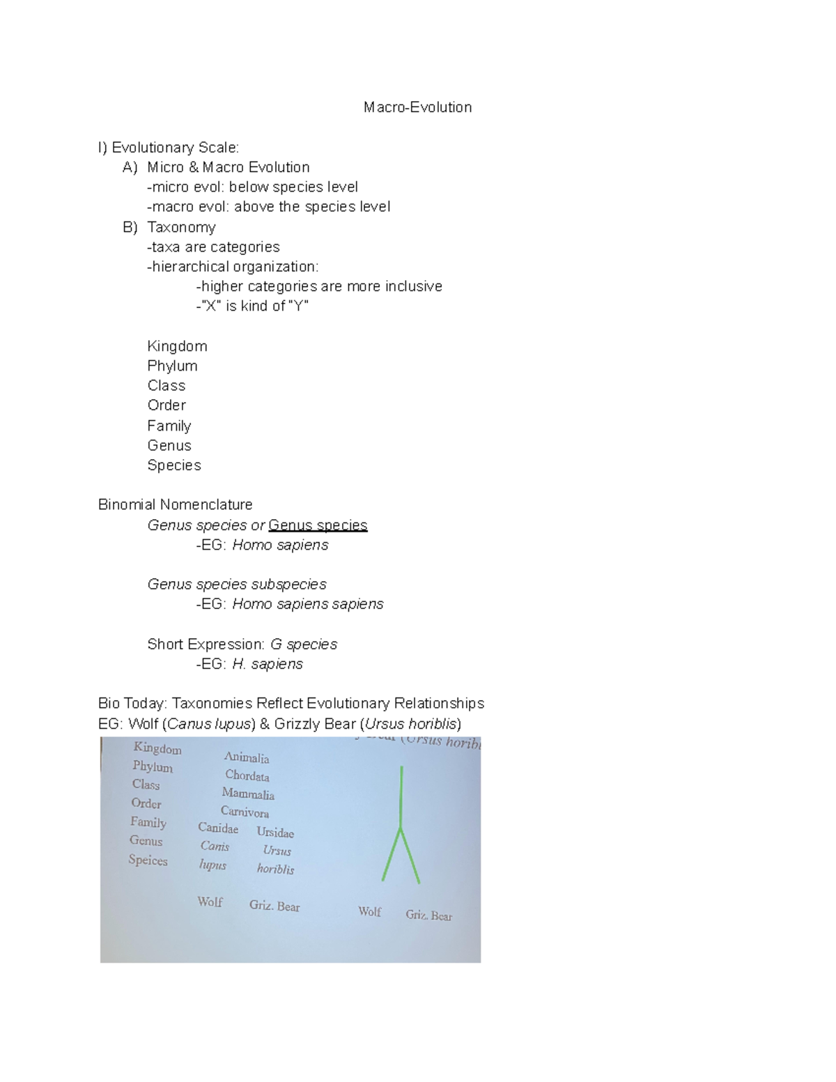 Anthro 2B Part 2 - James Egan - Macro-Evolution I) Evolutionary Scale ...