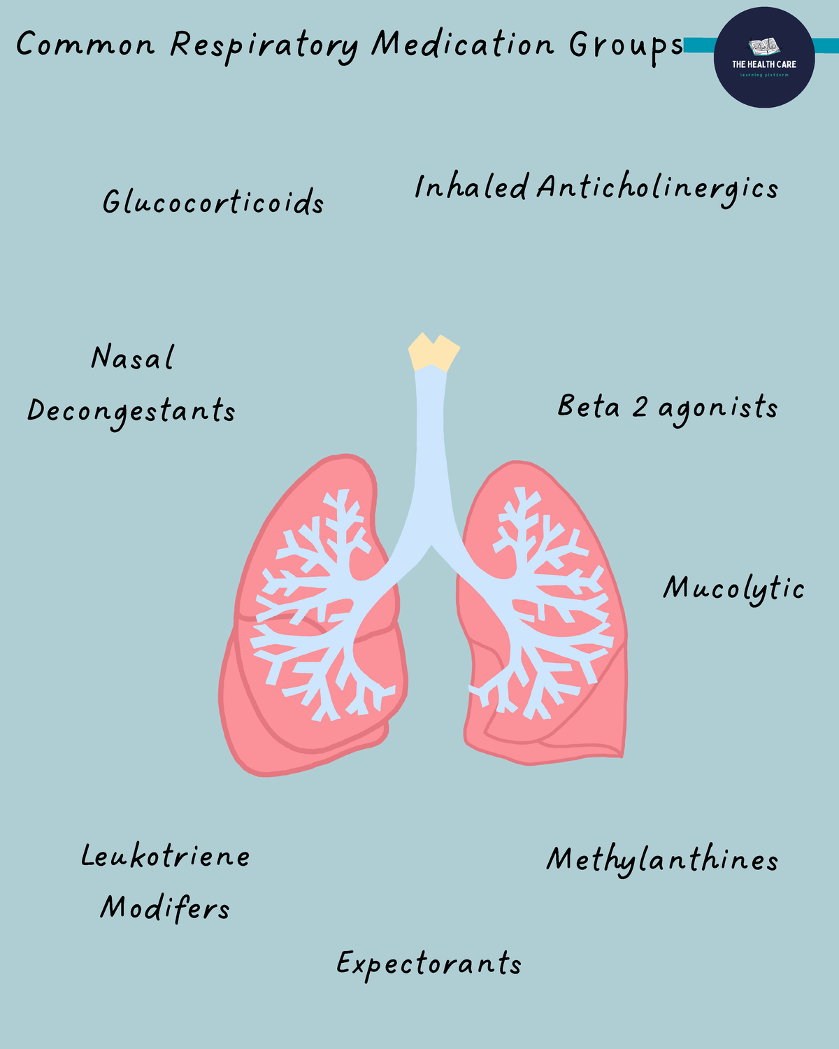 Common Respiratory Medications - Studocu