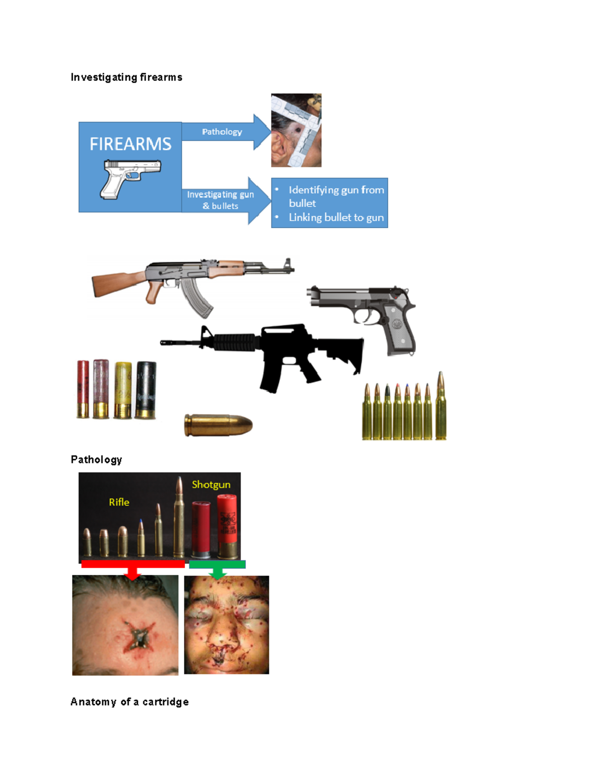 Investigating firearms - Investigating firearms Pathology Anatomy of a ...