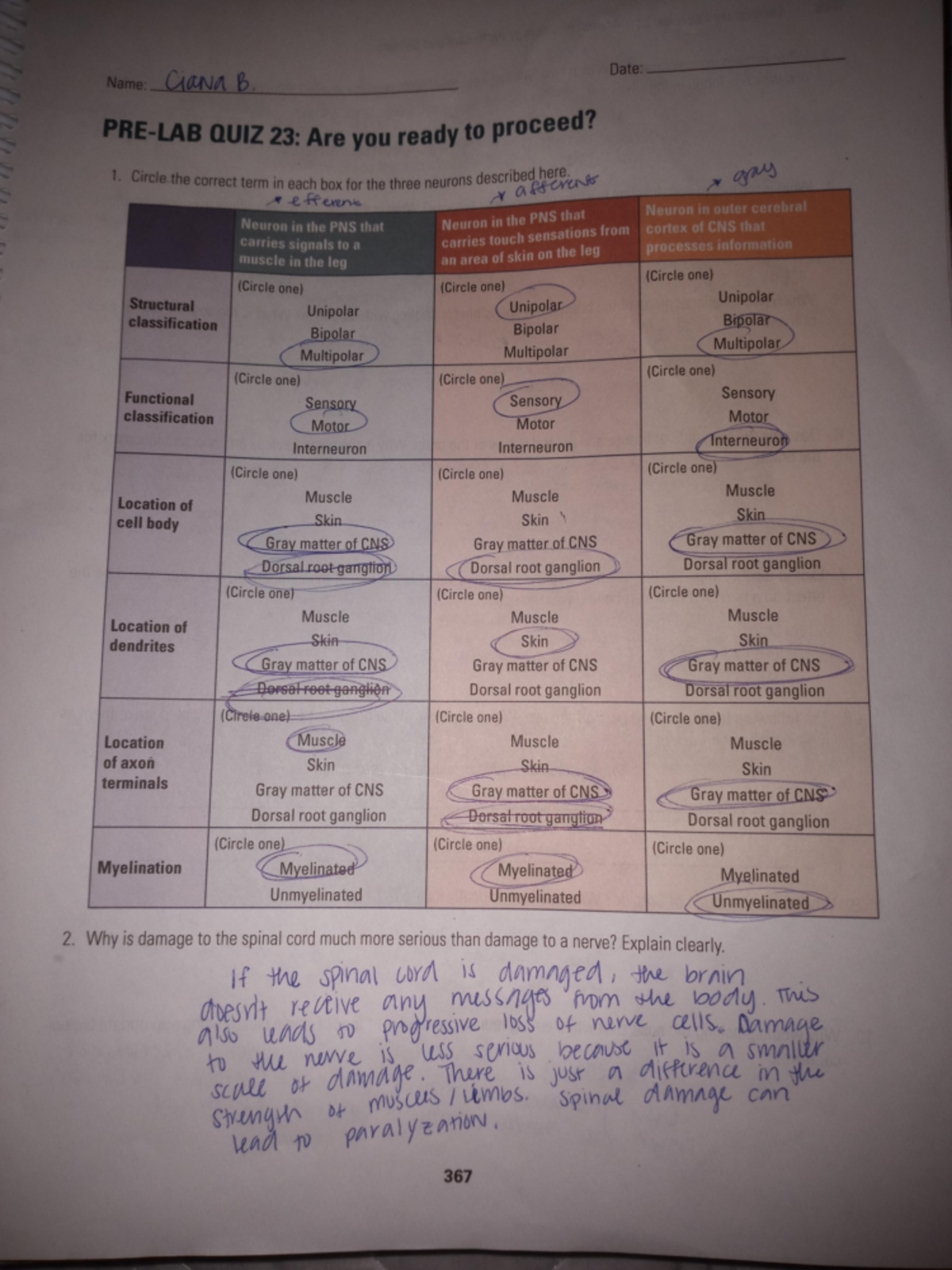 Pre-lab 23 quiz assignment - BIOL-1407 - Studocu