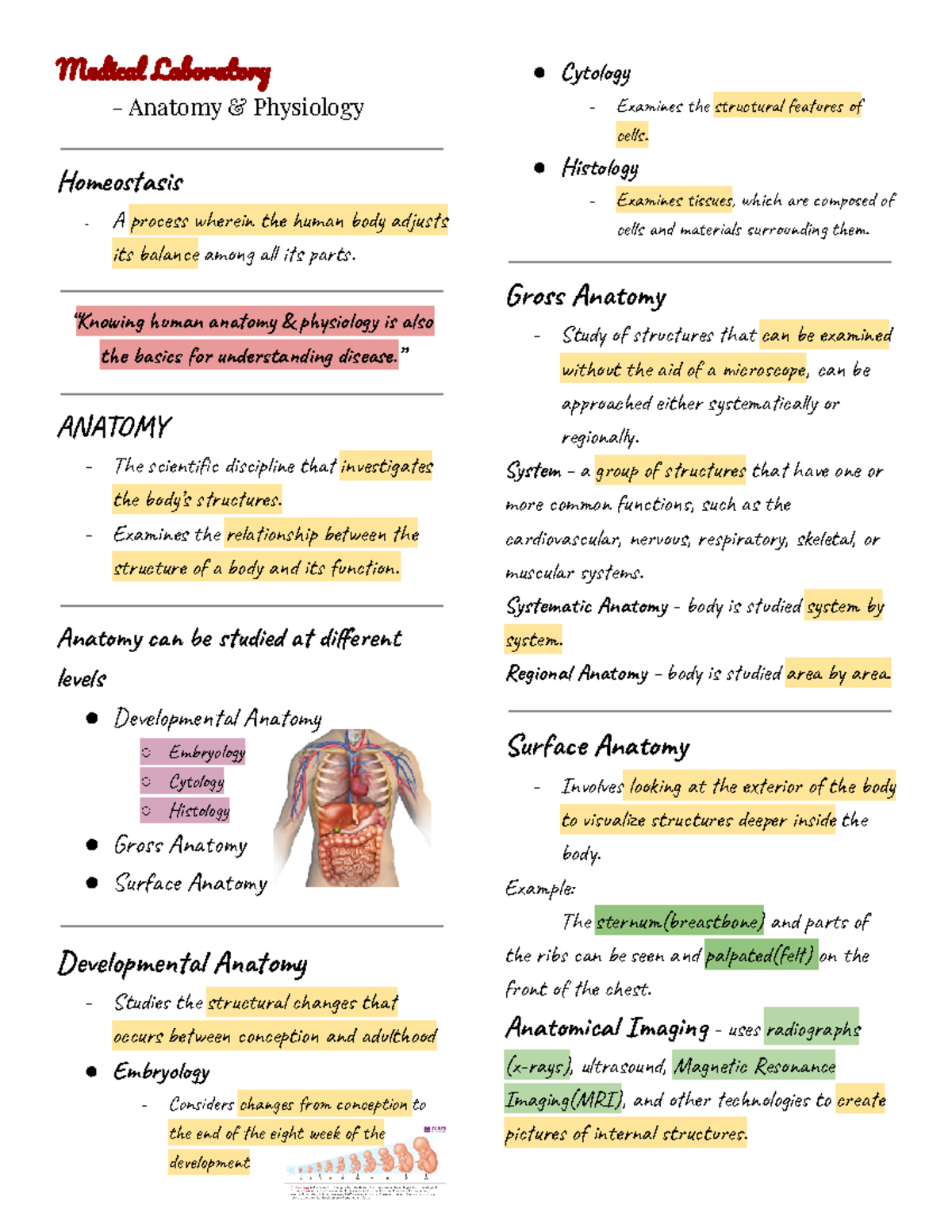 Medical Laboratory - Anatomy and Physiology - ####### Medica Laborator ...