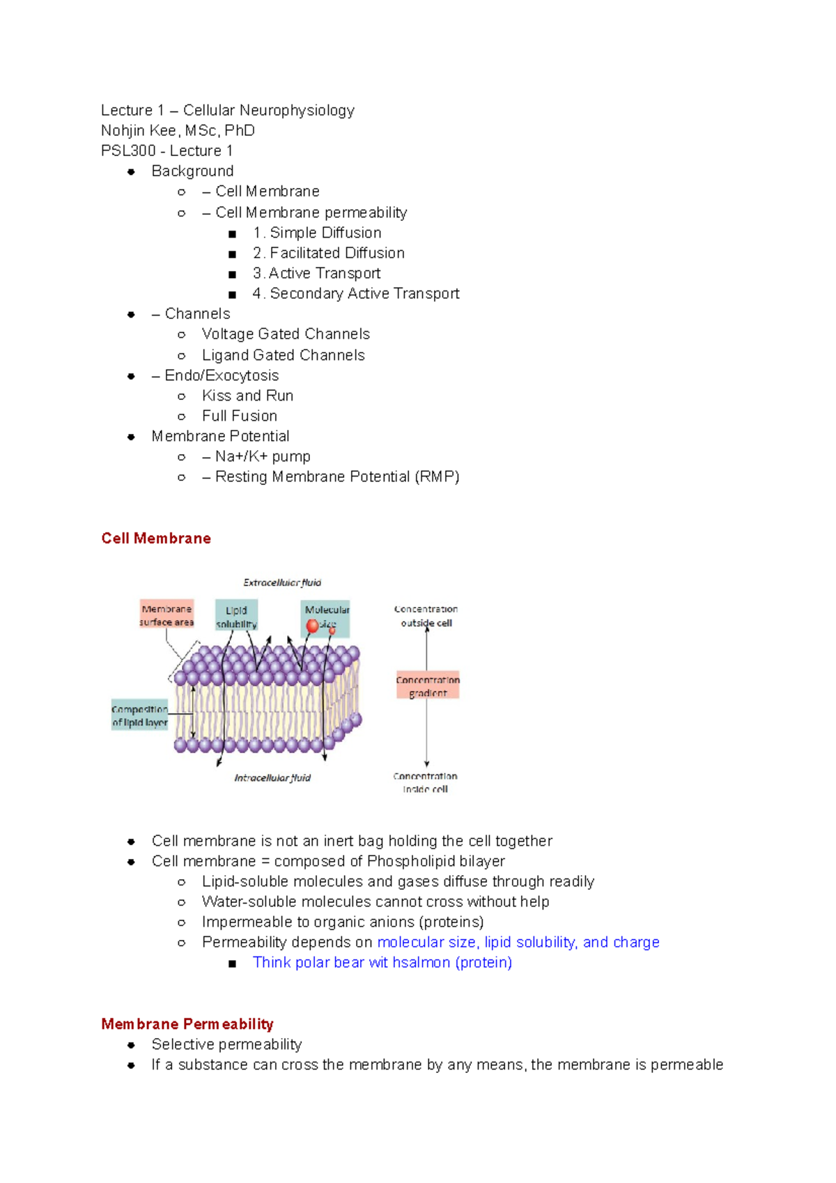 PSL300 UTSG Part3 Neuro Lecture 1 – Cellular Neurophysiology - Lecture ...