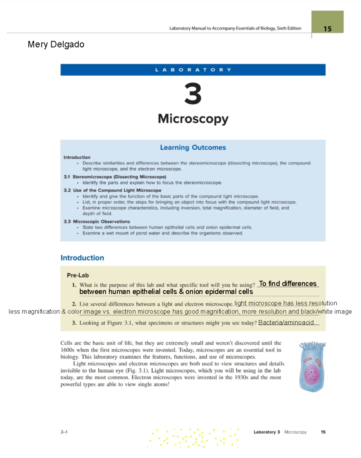 Esther Muehlbauer - BIO 011 Lab 3 Microscopy - Bio 11 - Studocu