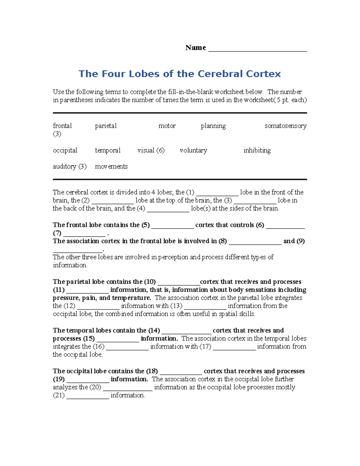 2 The Four Lobes - Name ________________________ The Four Lobes of the ...