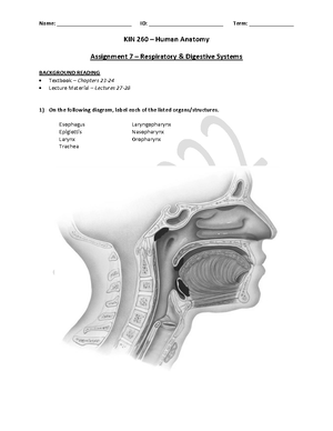 Assignment-2-1 - ANATOMY - Name: _________________________ ID ...
