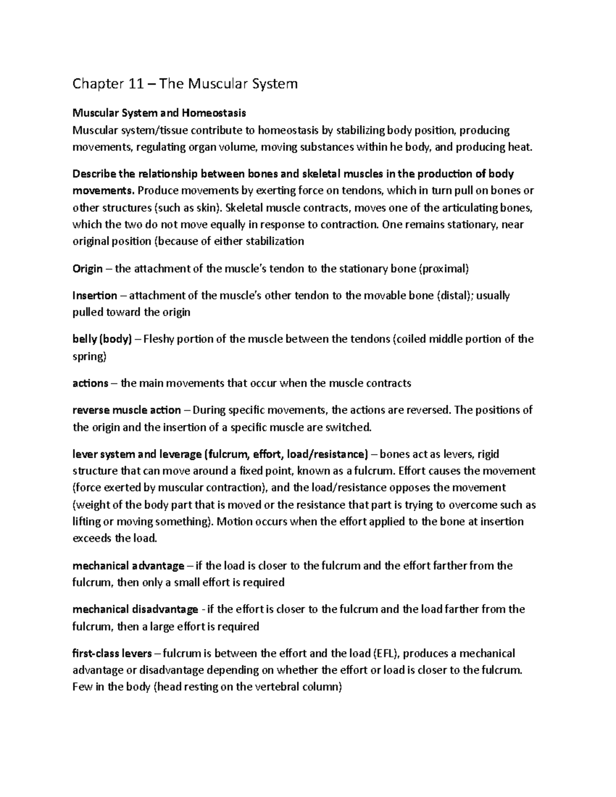 Chapter 11 Notes - The Muscular System - Chapter 11 – The Muscular ...