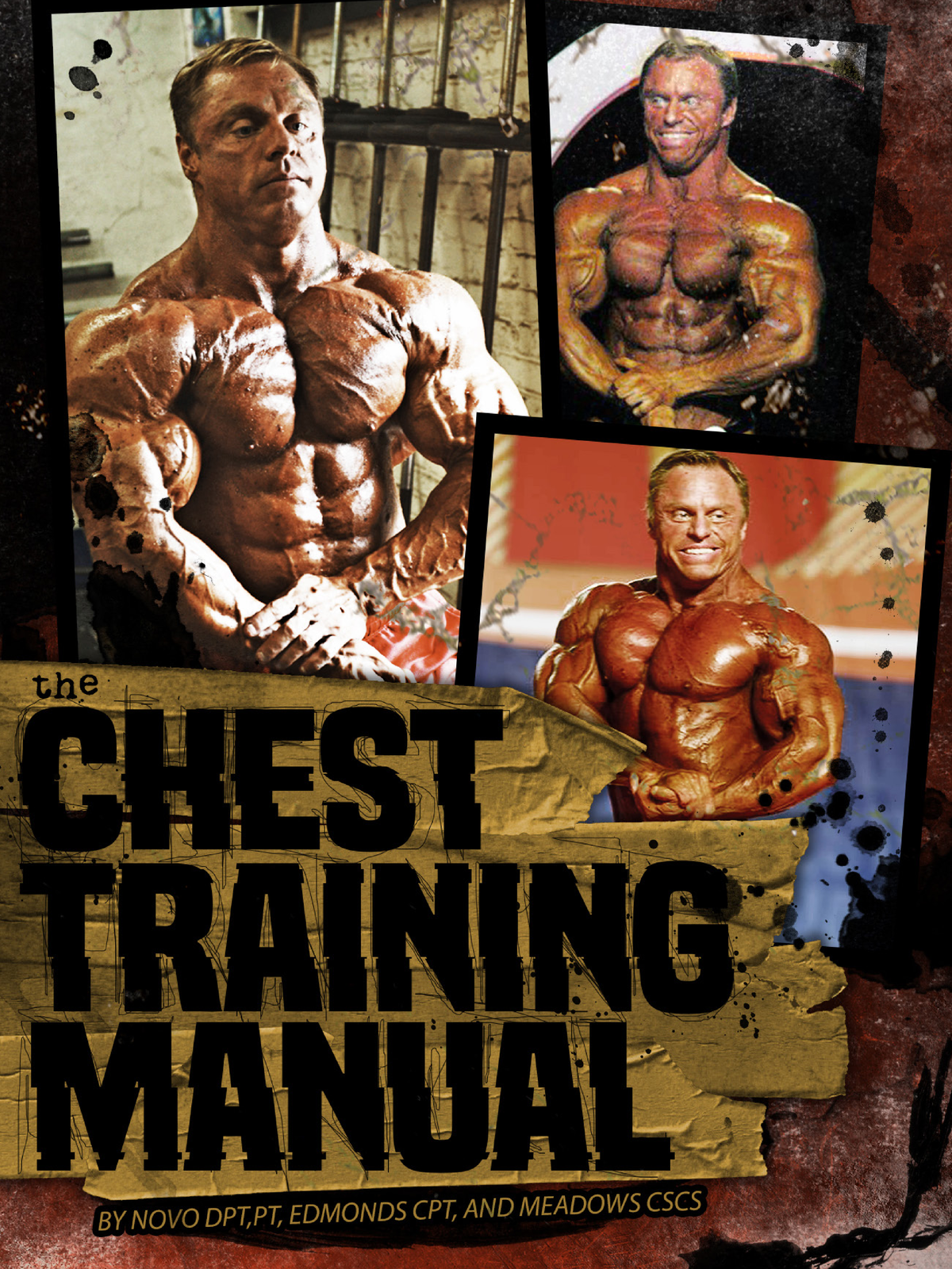 John meadows chest program - Table of Contents WHAT YOU WILL LEARN ...