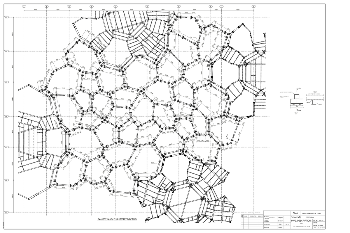 Structural Stage Analysis of Canopy - Tekla structures CANPOY LAYOUT ...