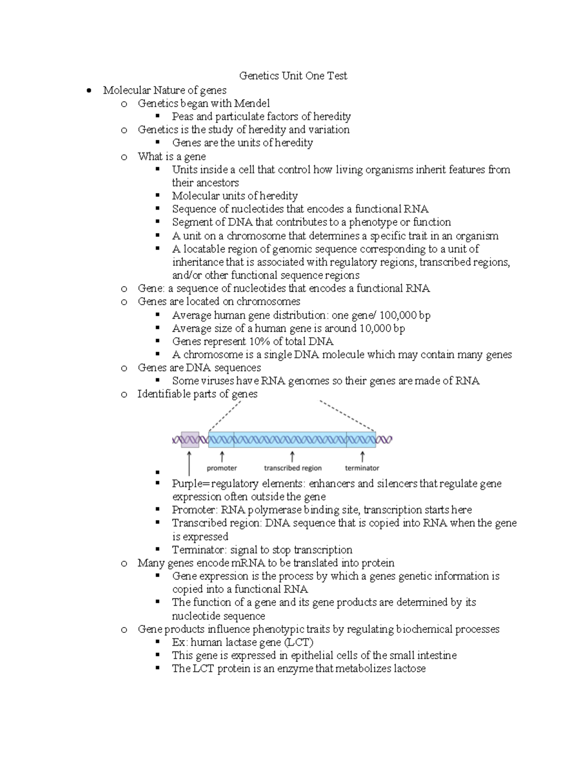 Genetics Unit One Test - overview notes for unit one - Genetics Unit ...
