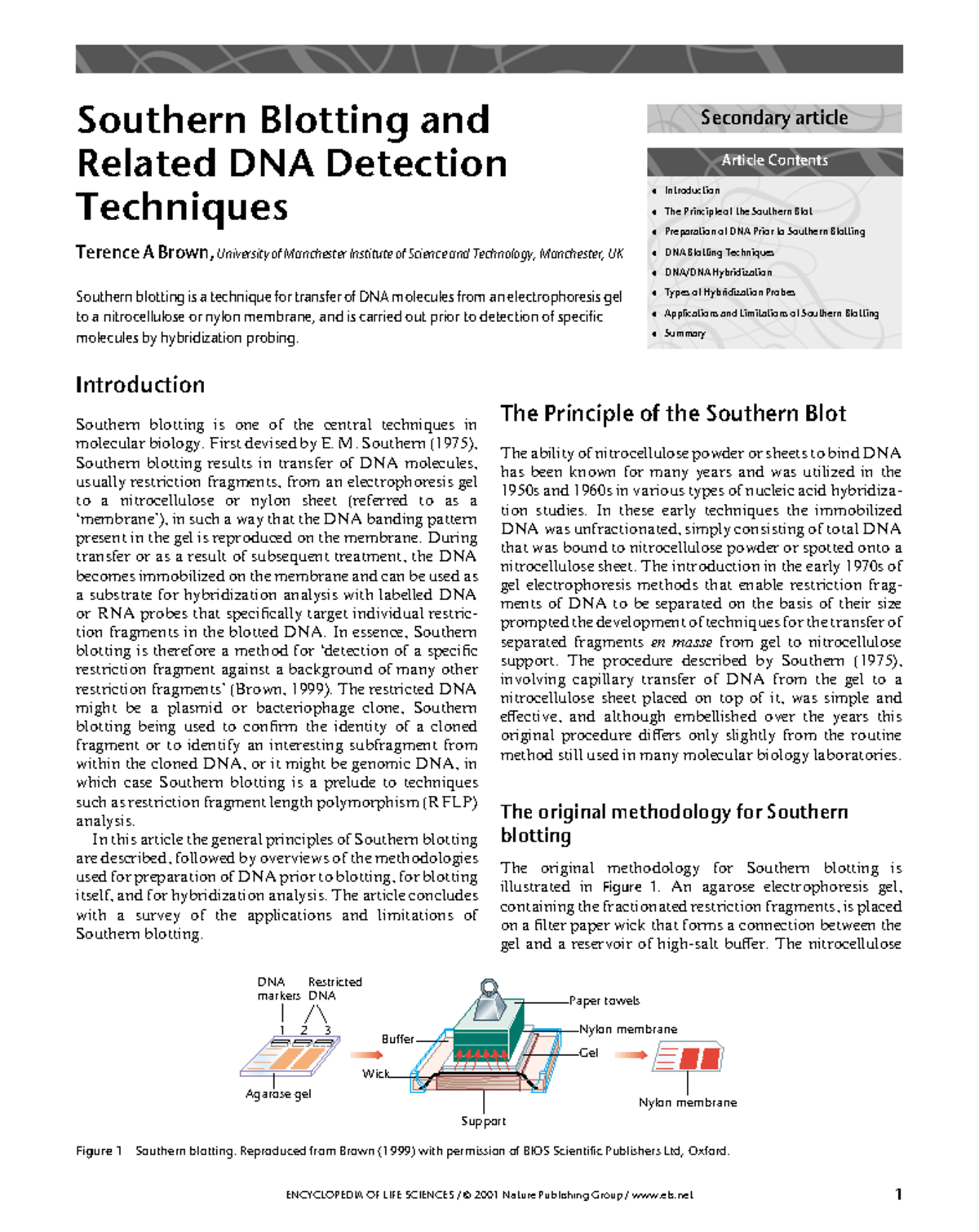 Southern bloth - Southern Blotting and Related DNA Detection Techniques ...