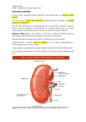 Peritônio - Jean Boustani - Peritônio e cavidade peritoneal Peritônio é ...