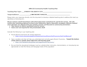 Hallmark Practicum Time Sheet - BSN 325 Community Health Project Time ...