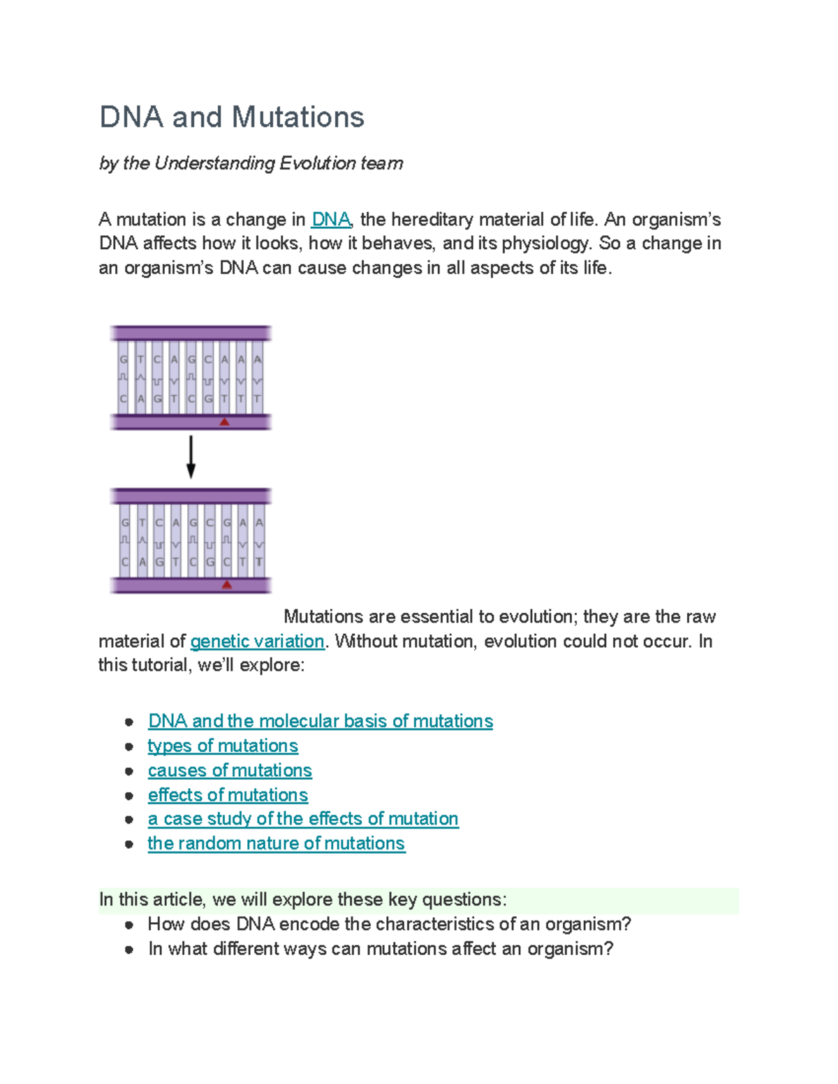 DNA and Mutations - An organism’s DNA affects how it looks, how it ...